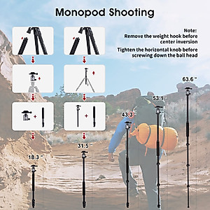 PHOSNOVA Compact Camera Tripod 62",Lightweight Travel Tripod for DSLR with 360 Degree Ball Head Detachable,Camera Monopod,11lbs Load for Video Camcorder