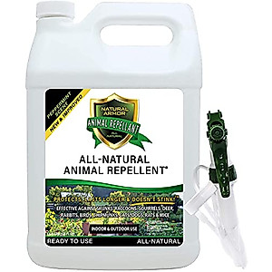 Natural Armor Animal & Rodent Repellent Spray. Repels Skunks, Raccoons, Rats, Mice, Deer Rodents & Critters. Repeller & Deterrent in Powerful Peppermint Formula – 128 Fl Oz Gallon Case of 4