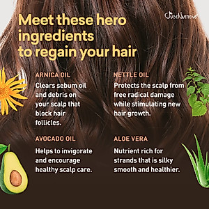 Hair Loss Therapy Shampoo & Conditioner | Hair Loss products for Thinning Hair | Hair Growth products for Men and Woman | Just Nutritive | 16 Oz