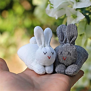 NezaBaby Easter Hide-and-Seek Plush Bunnies in 5.9" Carrot Pouch, Stuffed Animal Surprise Toy