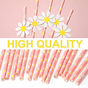 100 Pcs Daisy Paper Straws Daisy Party Decorations Disposable Two Groovy Daisy Straws Flower Straws Floral Pink Straws for Kids Girls Birthday Party Supplies Little Cutie Baby Shower Wedding Decor