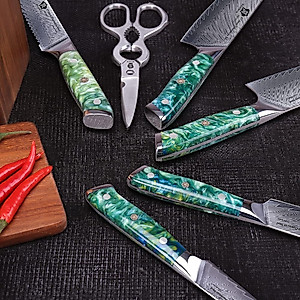 WILDMOK Damascus Kitchen Knife with Block 7pcs Premium Kitchen Knives Set with Resin Handle Professional Ultra Sharp Chef Knives Set with Gift Box