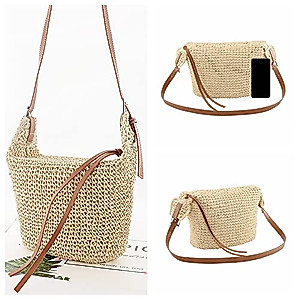 Ayliss Women Straw Handbag Purse Small Summer Beach Handmade Crossbody Shoulder Tote Handbag Handwoven Beach Straw Bag (Beige)