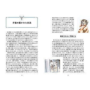 保護猫の育て方