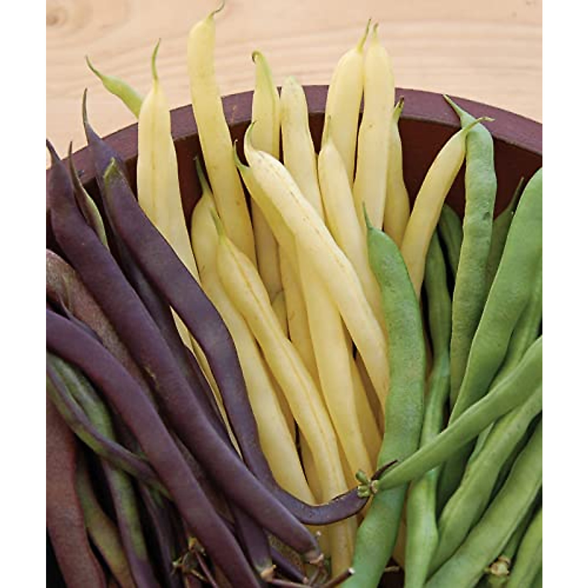 Burpee Three Color Blend Bush Bean Seeds 2 ounces of seed