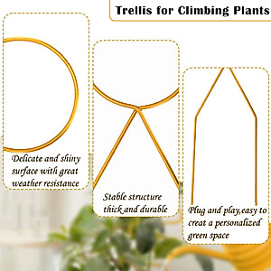 4 Pcs Small Metal Plant Trellis for Indoor Potted Plants, Mini Gold Trellis for Climbing Plants Indoor, House Plant Trellis Indoor Plant Support Stake for Small Planter