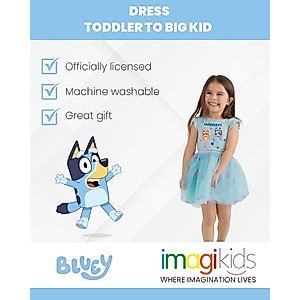 Bluey Bingo Toddler Girls Dress 2T Blue