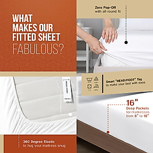 TEXAS LINEN CO. 100% Egyptian Cotton Sheets, 600 Thread Count 4 PC Queen Size Sheet Set, Soft, Cooling, High Thread Count Sateen, Extra Long Staple Luxury Bedding, 16 in Deep Pocket - Blush