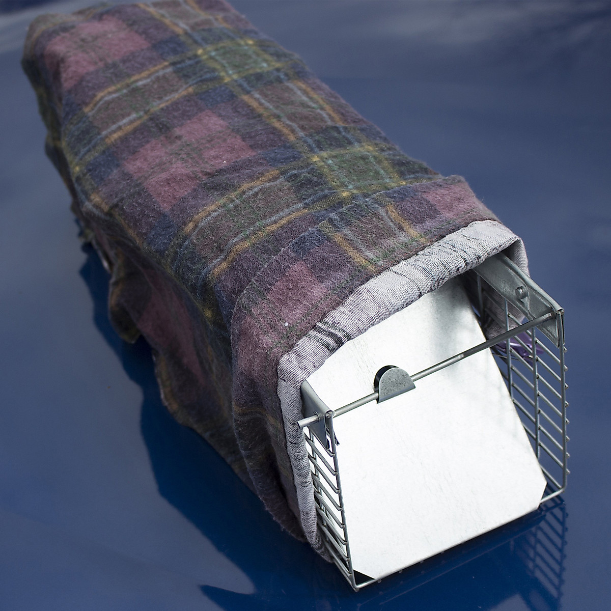 Havahart 1025 Small 2-Door Humane Catch and Release Live Animal Trap for Squirrels, Chipmunks, Rats, Weasels, and Small Animals