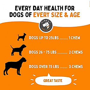 Dog Multivitamin Chewable Treats - Pet Vitamins and Supplement, 10-in-1 Multivitamin for Dogs, Supports Joints, Hip, Bowel, Muscle Health, with Glucosamine and Omega Fish Oil (120 Chews)