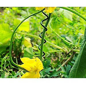 VIMOA Garden Twine Bonsai Training Wire 65 Feet 2mm Garden Twist Tie DIY Plant Cage for Tomato Plants, Climbing Roses, Vines, Cucumbers and Squash