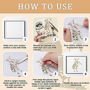 Whaline 12 Sheet Farmhouse Rub on Transfer for Furniture and Crafts Rustic Animals Letters Rub on Transfer Furniture Stickers Decal for Farmhouse School Home Office DIY Art Craft Decor, 5.5 x 5.5 Inch