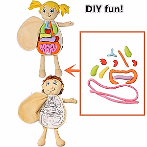 weilishun Human Body Anatomy Toy for Kids -Soft Plush Anatomy Doll, DIY Human Body Model Awareness Teaching Tools & Preschool Science Learning Toy(Pink)