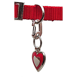 Klippy 2-Pack, 2 Pet Tag Quick Clips, Perfect for Dogs and Cats, Silver