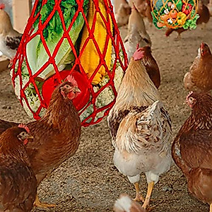 Camidy 4 Pack Chicken Feeding String Bag, Hanging Vegetable Cabbage Feeding Net Bags Snack Treat Feeding Holder Bag with Hook for Chickens Goose Duck Large Birds