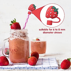 Yanmucy 9 Pieces Straw Cover Cute Reusable Silicone Straw Topper Fruit Plant Animals Dust-proof Straw Plugs for 6-8 mm Drinking Straws (1)