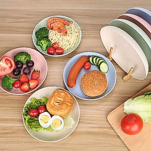 LuckyZone 8.8 Inches Unbreakable Wheat Straw Plates - Reusable Plate Set - Dishwasher & Microwave Safe - Perfect for Dinner Dishes - Healthy, BPA Free & Eco-Friendly (8.8 Inches)