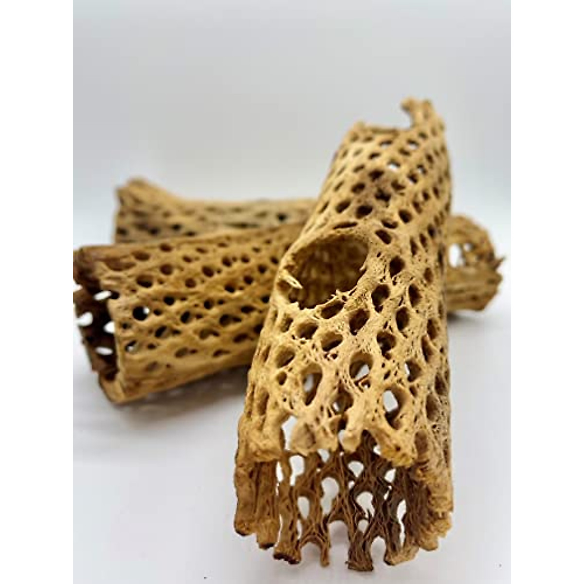 Aqua Natural Cholla Log 2in - 3in Wide x 6in Long Hollow Single Piece for Shrimp, Geckos, Skinks and Other Lizards