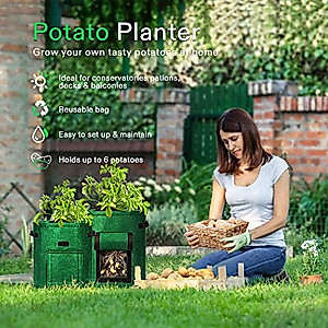 VIVOSUN 5-Pack 10 Gallon Potato Grow Bags, Fabric Pots with Handle and Roll-up Window, Green