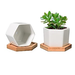 T4U Small White Succulent Planter Pots with Bamboo Tray Hexagon Set of 2, Geometric Cactus Plant Holder Container for Home Office Table Desk Decoration for Mom Aunt Sisiter Gardener