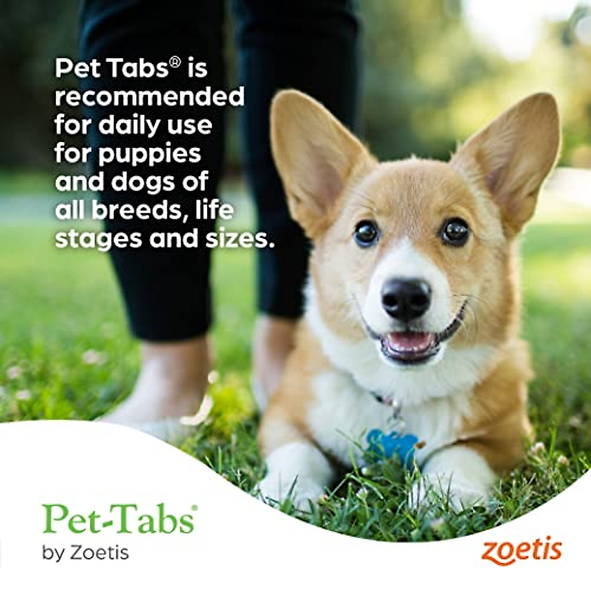 Pet-Tabs Multivitamin and Mineral Supplement for Puppies and Dogs of all Life Stages, Chewable Tablet, 180 Count Bottle