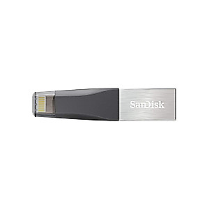SanDisk 256GB IXPAND Mini Flash Drive Type A 3.0 Connection