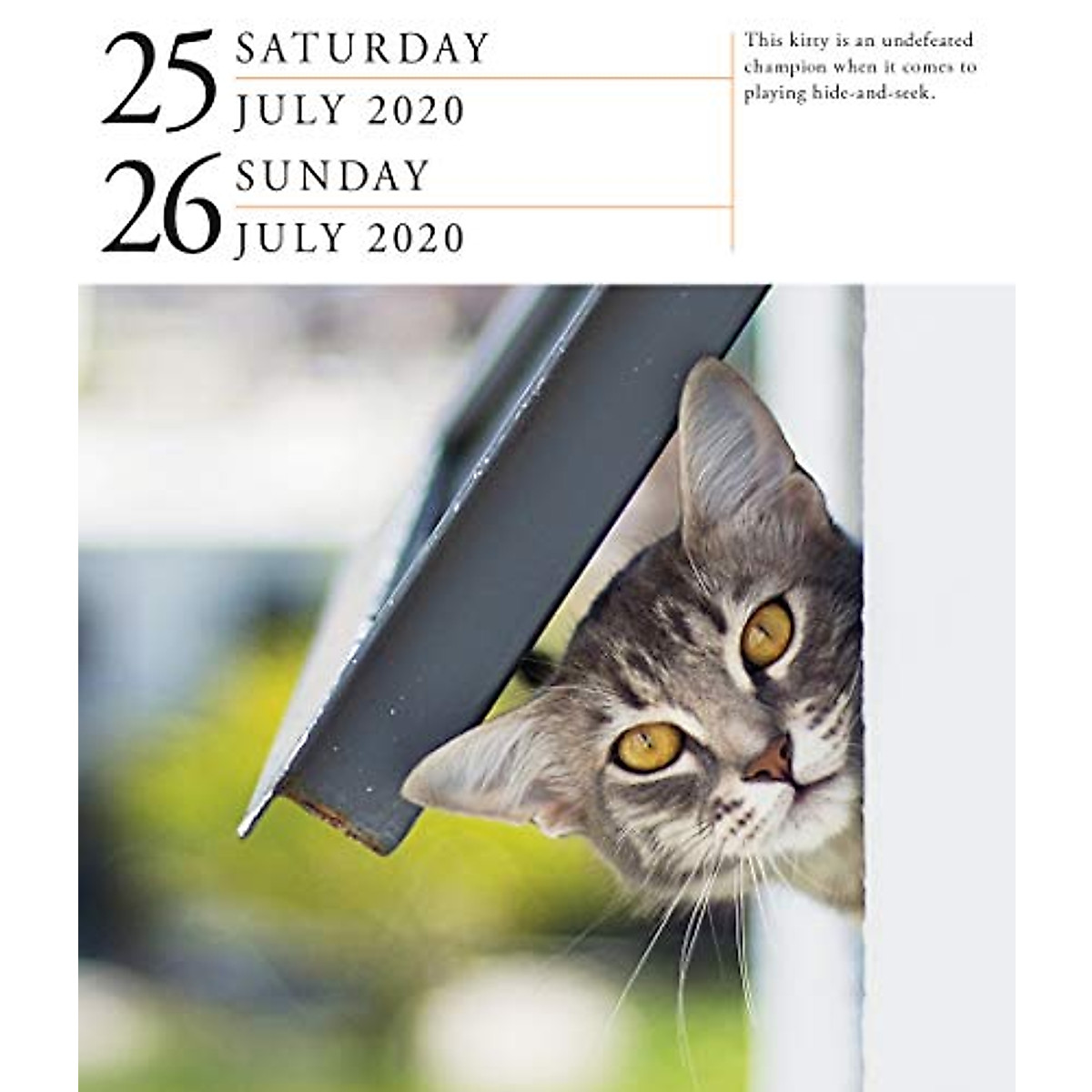Cat Page-A-Day Gallery Calendar 2020