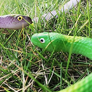 ZZF-LYA 4 Packs Realistic Rubber Snake Set-Plastic Forest Snakes Realistic Rubber Snake Assorted Colorful Fake Snake Figure Keep Birds, Squirrels, Rats Away
