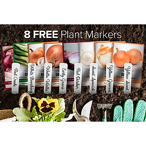 Onion Seeds for Planting - 8 Long and Short Day Varieties Yellow, Red, White, Sweet and Green Onions for Summer, Fall, Onion Seed by Gardeners Basics