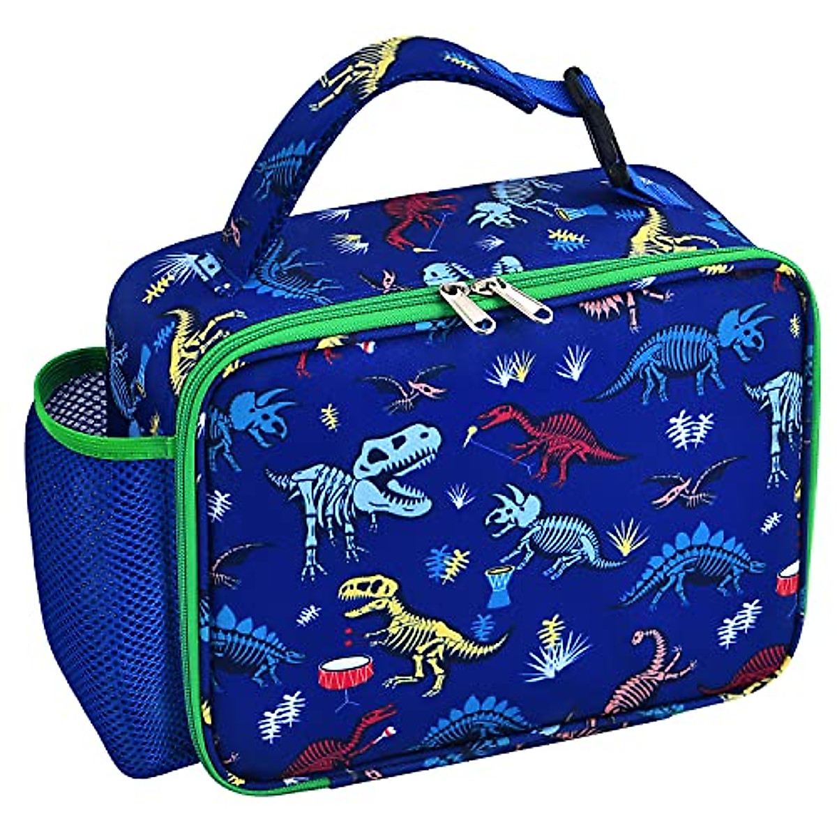 Fossils Dinosaur Lunch Box - Insulated Kids Lunch Box for Boys Lunch Bag School Preschool Kindergarten Elementary Picnic Lunch Tote Bag Waterproof Reusable Lunchbox with Handle and Pocket