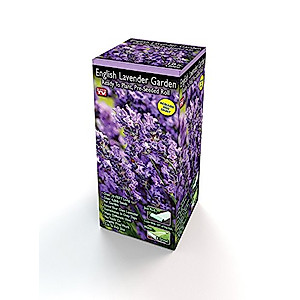 Easy Garden Roll Out Flowers Lavender Gardening kit - 10-Foot by 10-Inch - by Garden Innovations