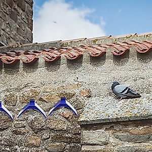 TEHAUX 10 PCS Pigeon Rest Rack Bird Perch Pack Bird Perch Support Cage Accessories Dove Supplies Bird Supplies