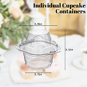 HANSGO 30PCS Individual Cupcake Containers, Plastic Clear Cupcake Holders Stackable Deep Dome Cupcake Carrier for Showcasing Protecting Cakes Muffins Desserts 3.9"x3.7"x3.5"
