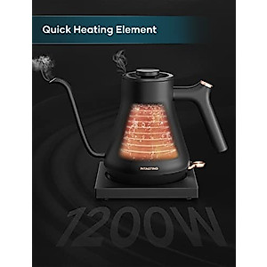 Electric Kettle, INTASTING Professional Electric Gooseneck Kettles, 0.65mm Ultra-Slim Spout, Precise Water Flow Control, 304 Stainless Steel Inner, 0.8L, Auto Shut-Off, Boil Dry Protection, Black