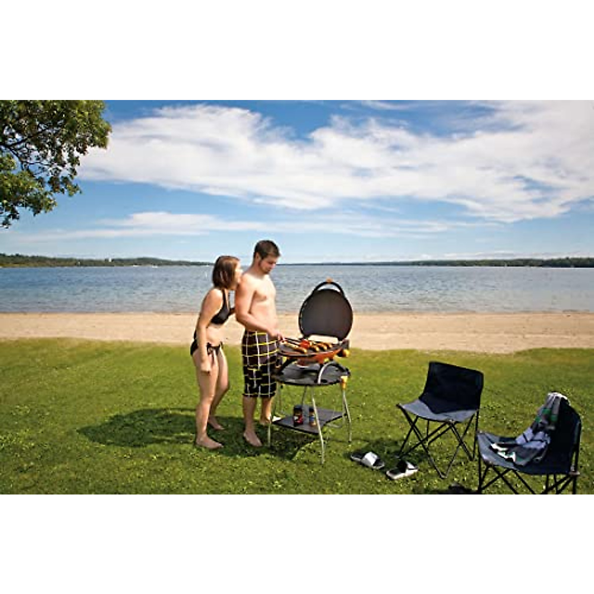 Napoleon TravelQ TQ2225PO Portable Gas Grill, 225 sq. in, Orange