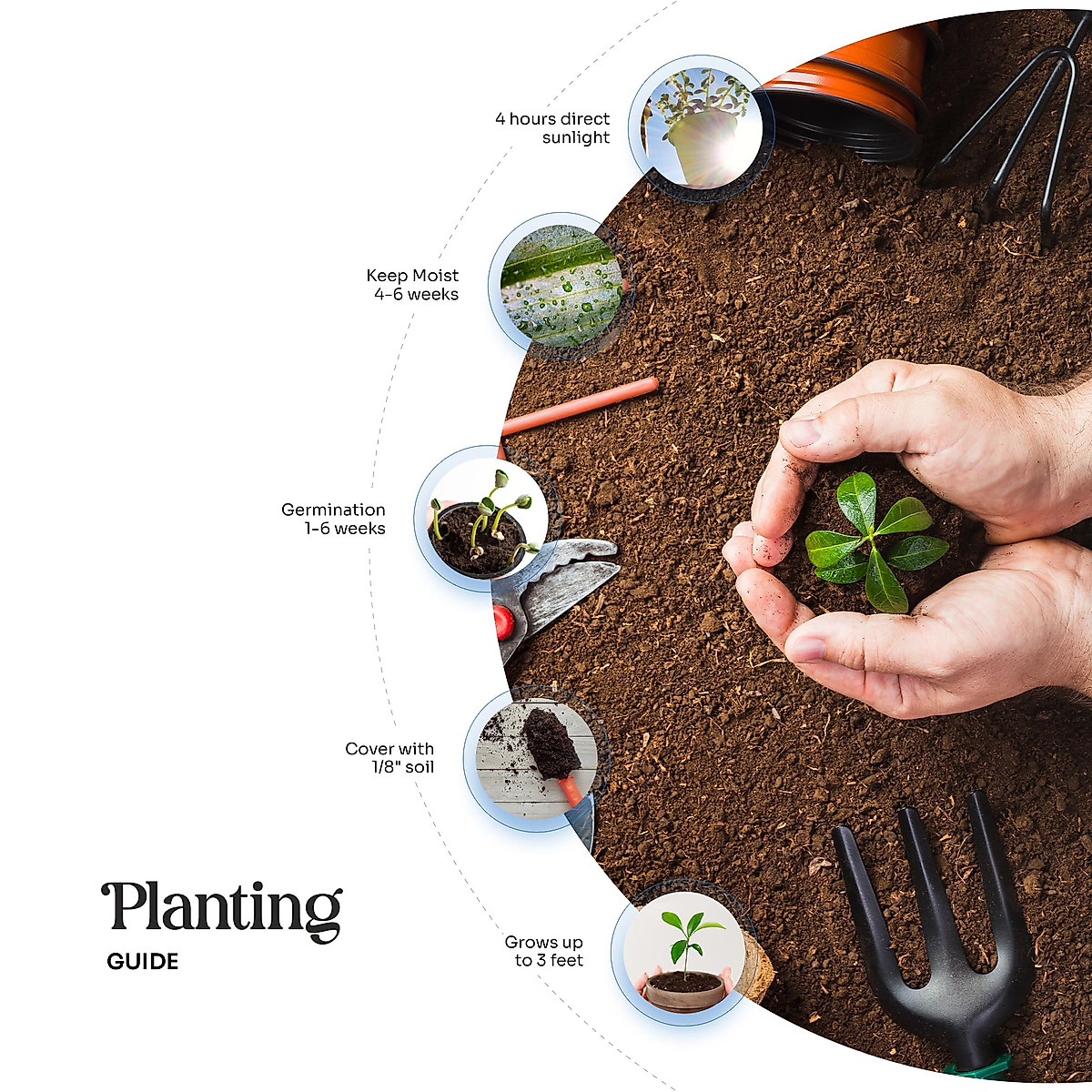 Seed Bloom Set of 24 Purple Butterfly – Plantable Seed Paper for Bridal Shower Weddings, and Gifts