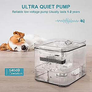 NPET Cat Water Fountain, 3L Automatic Pet Drinking Fountain Dog Water Dispenser with Quadruple-Action Filter (WF020 Transparent)