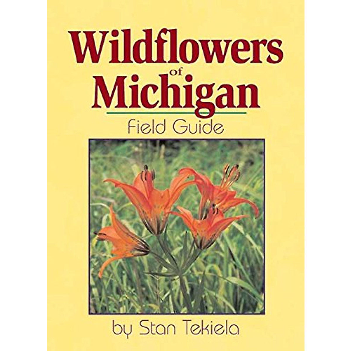 Wildflowers of Michigan Field Guide (Wildflower Identification Guides)