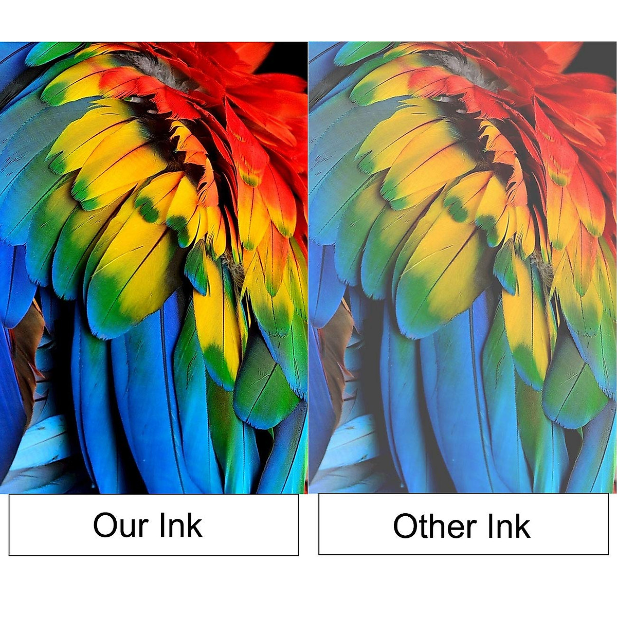 Luckyink Sublimation Ink Refill for Ecotank ET2720 ET2760 ET4700 WF7710 WF7720 WF7210 WF3640 WF3620 WF7110 C88 C88+ Printer Heat Press Transfer on Cloth, Pillow Case, Cap, Bag with sublimation printer