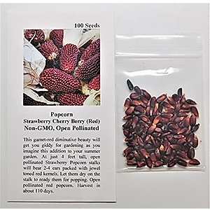 David's Garden Seeds Popcorn Strawberry Cherry Berry FBA-9145 (Red) 100 Non-GMO, Heirloom Seeds