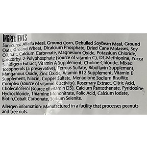 Kaytee Forti Guinea Pig Food, 5 Lb