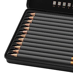 Cezanne Graphite Artist Drawing Pencil Set of 12 Professional Quality for Sketching & Shading, Break Resistant Pre-sharpened Leads, Triple Coated Matte Finished Wood-cased Barrel, Travel Storage Tin