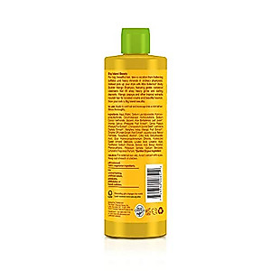 Alba Botanica Hawaiian, Mango Shampoo, 12 Ounce (Pack of 2)