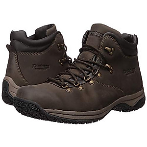 Dunham Men's Ludlow PT Boot Hiking, Brown, 8.5 Medium
