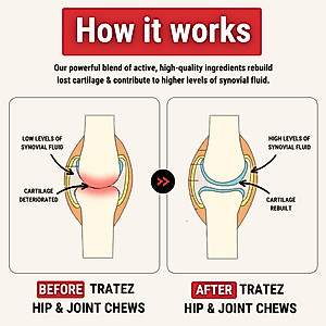 TRATEZ Hip and Joint Supplement for Dogs, 60 Duck Flavor Soft Chews with Glucosamine, Chondroitin, MSM and Green Lipped Mussel. Advanced Formula for Premium Mobility Support and Joint Health for Dogs