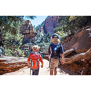 CamelBak Mini M.U.L.E. Kids' Hydration Backpack - 50 oz Racing Red Check