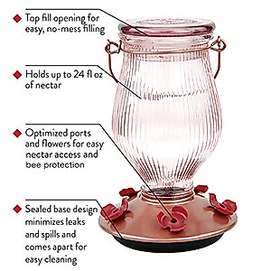 Perky-Pet 9104-2 Rose Gold Top-Fill Glass Hummingbird Feeder Rose Gold 24 oz Capacity