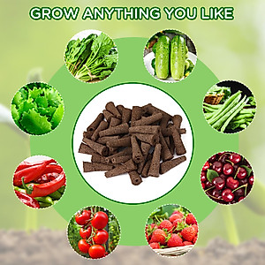 130pcs Seed Pod Kit for Aerogarden, Liquid Plant Food Hydroponic Pods Supplies Grow Cilantro Herbs Garden Pods Kit Indoor with 50 Grow Sponges,14 Grow Baskets, 50 Pod Labels, 14 Grow Domes, 2 Tweezers