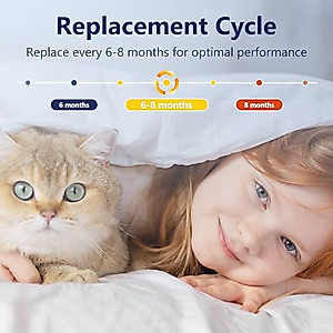 Funmit Core P350 Pet Care Replacement Filter for LEVOIT Core P350 Air Purifier, 3-in-1 New Fine Non-Woven Fabric Pre, H13 True HEPA, Activated Carbon Filter with ARC Formula, Core P350-RF, 2 Pack