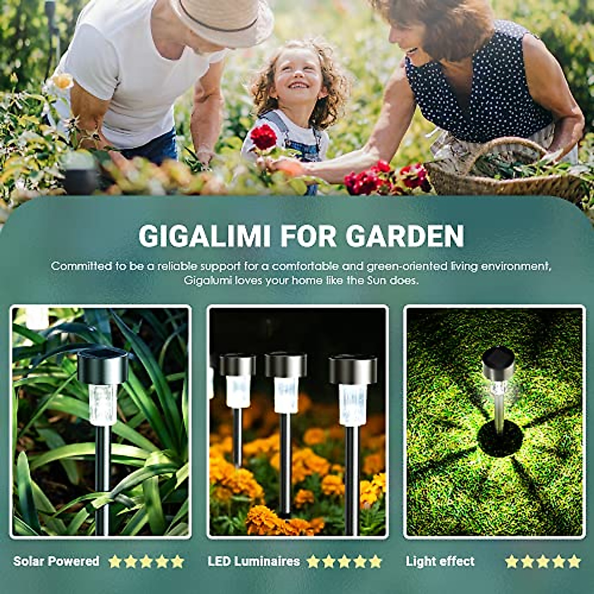 GIGALUMI 16 Pack Solar Path Lights Outdoor,Solar Lights Outdoor Waterproof,Stainless Steel LED Landscape Lighting,Solar Garden Lights for Driveway,Pathway,Patio,Yard